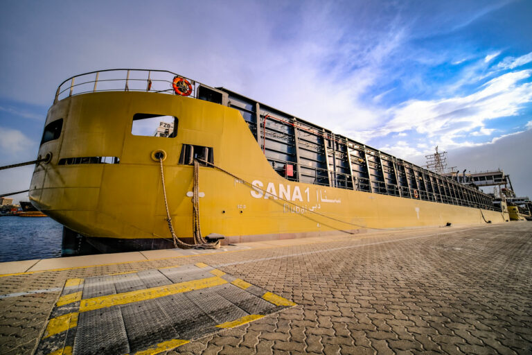 Shallow Draft Barges - LDPL